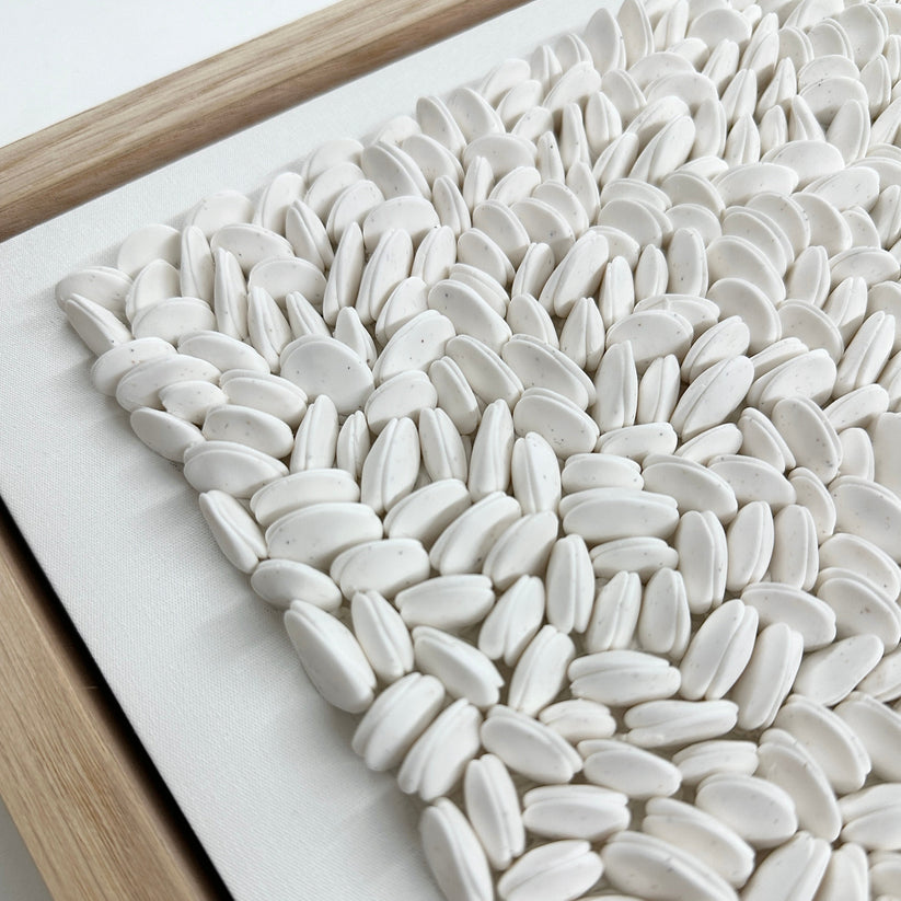 Spring 02 | Mussel Shells – Grace Oliver Designs