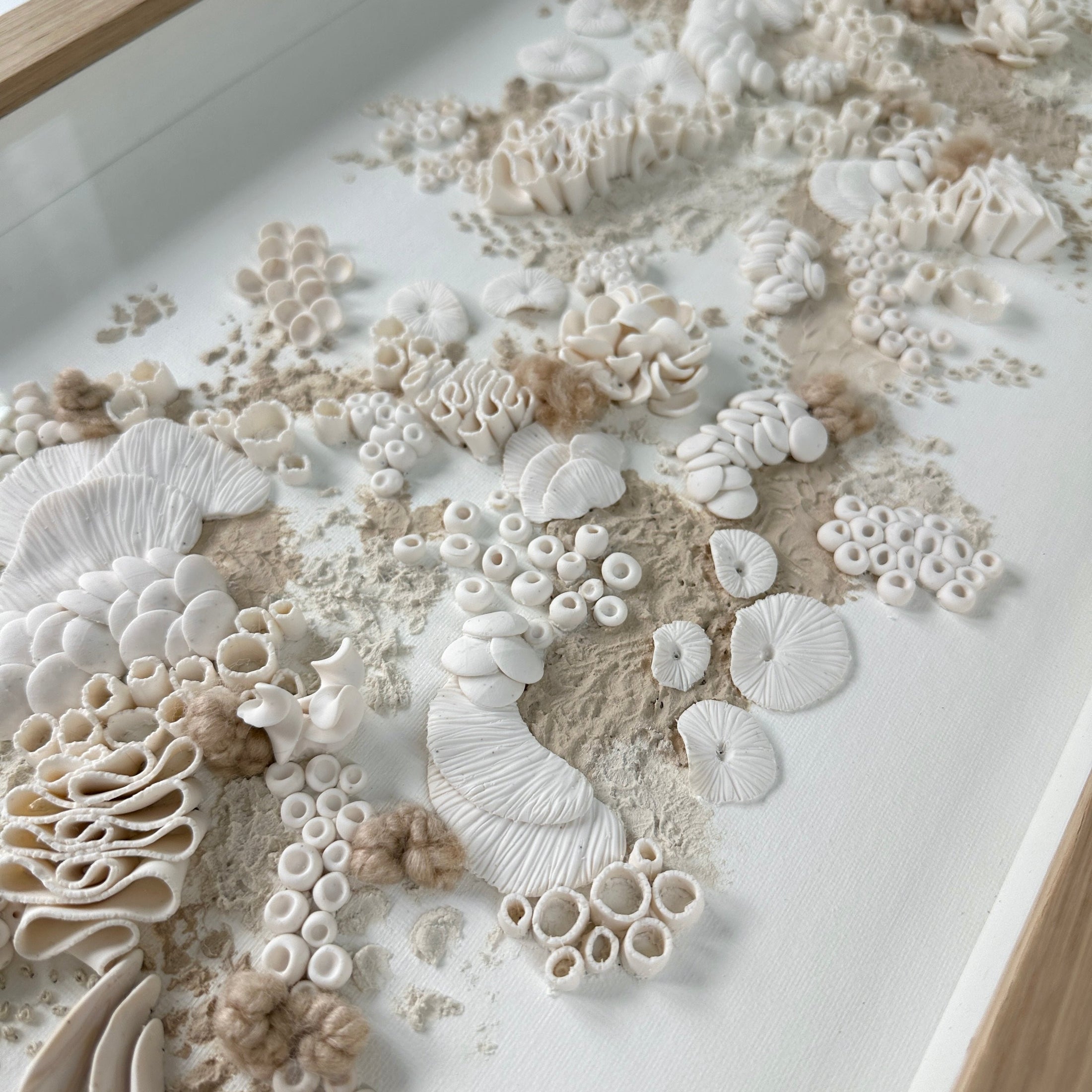 Neutral Coral reef 02 – Grace Oliver Designs