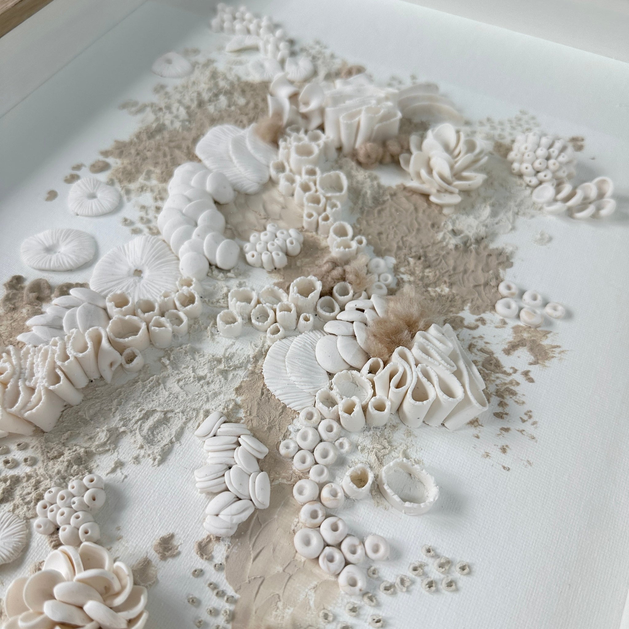 Neutral Coral reef 02 – Grace Oliver Designs